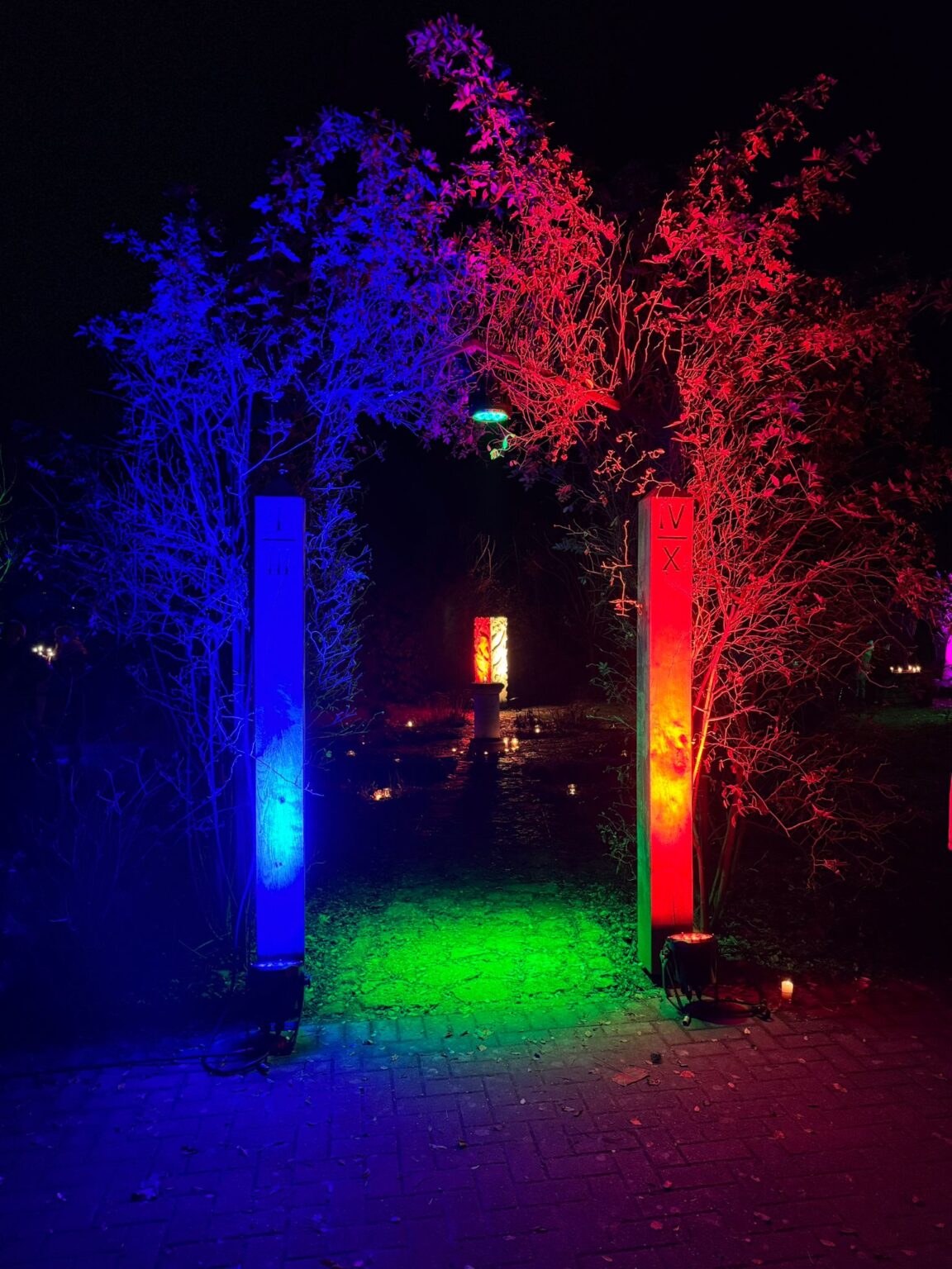 Adventsleuchten im Bibelgarten - Stiftung Schulen der Brede